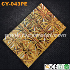China Decorative stainless steel stamping sheet for wall panel decoration CY-043PE supplier